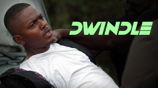 19th Aug: Dwindle (2021), 2hr 5m [TV-MA] (6/10) | Pacosite's Blog